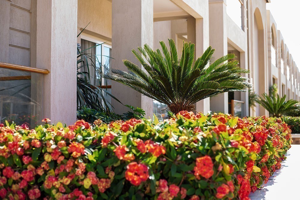 Artificial Outdoor Plants | Fake Trees, Bushes, & Grass for Outside ...