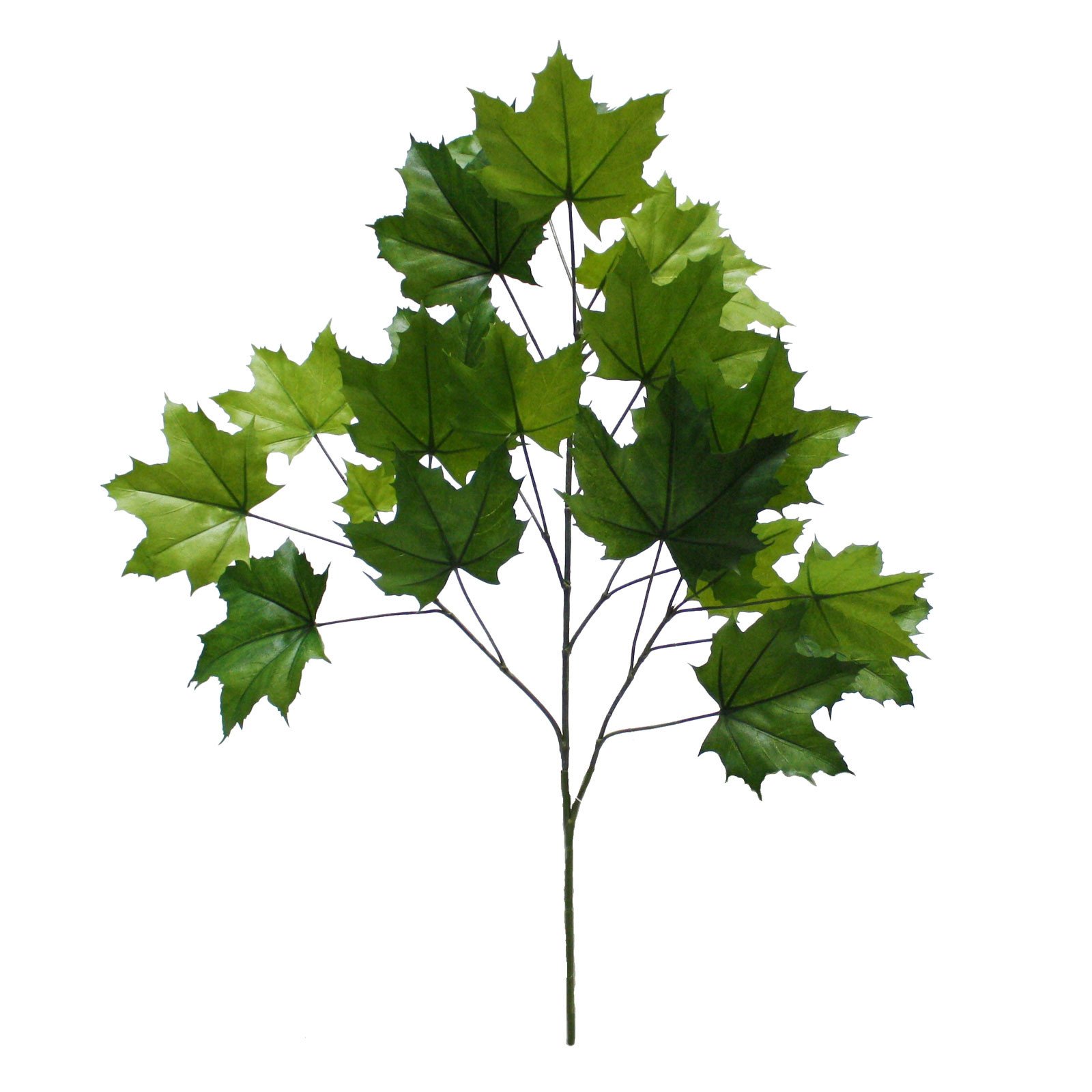 32 inches SUGAR MAPLE TWO-TONE GREEN > Faux Maple Branches > Earthflora
