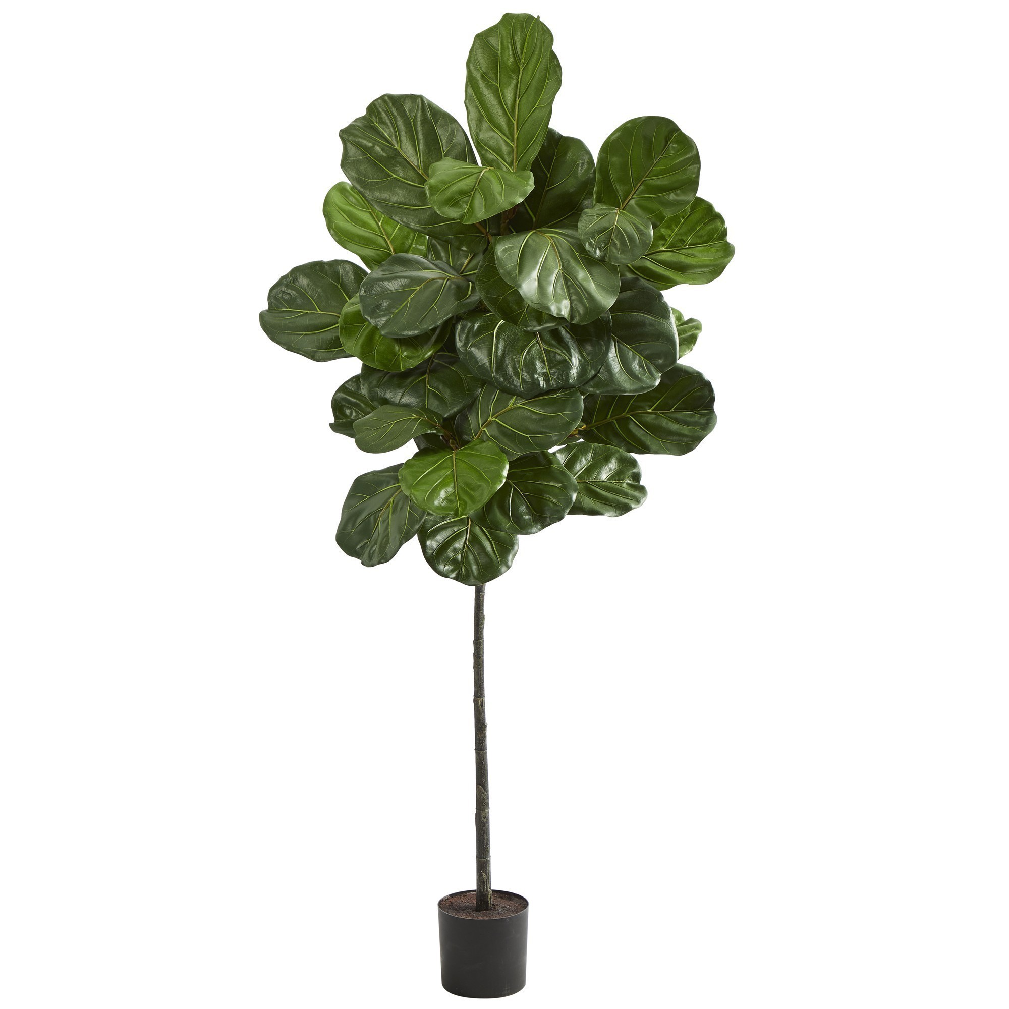 Earthflora > Mediterranean Olive & Fig Artificial Trees > 5.5' Fiddle ...