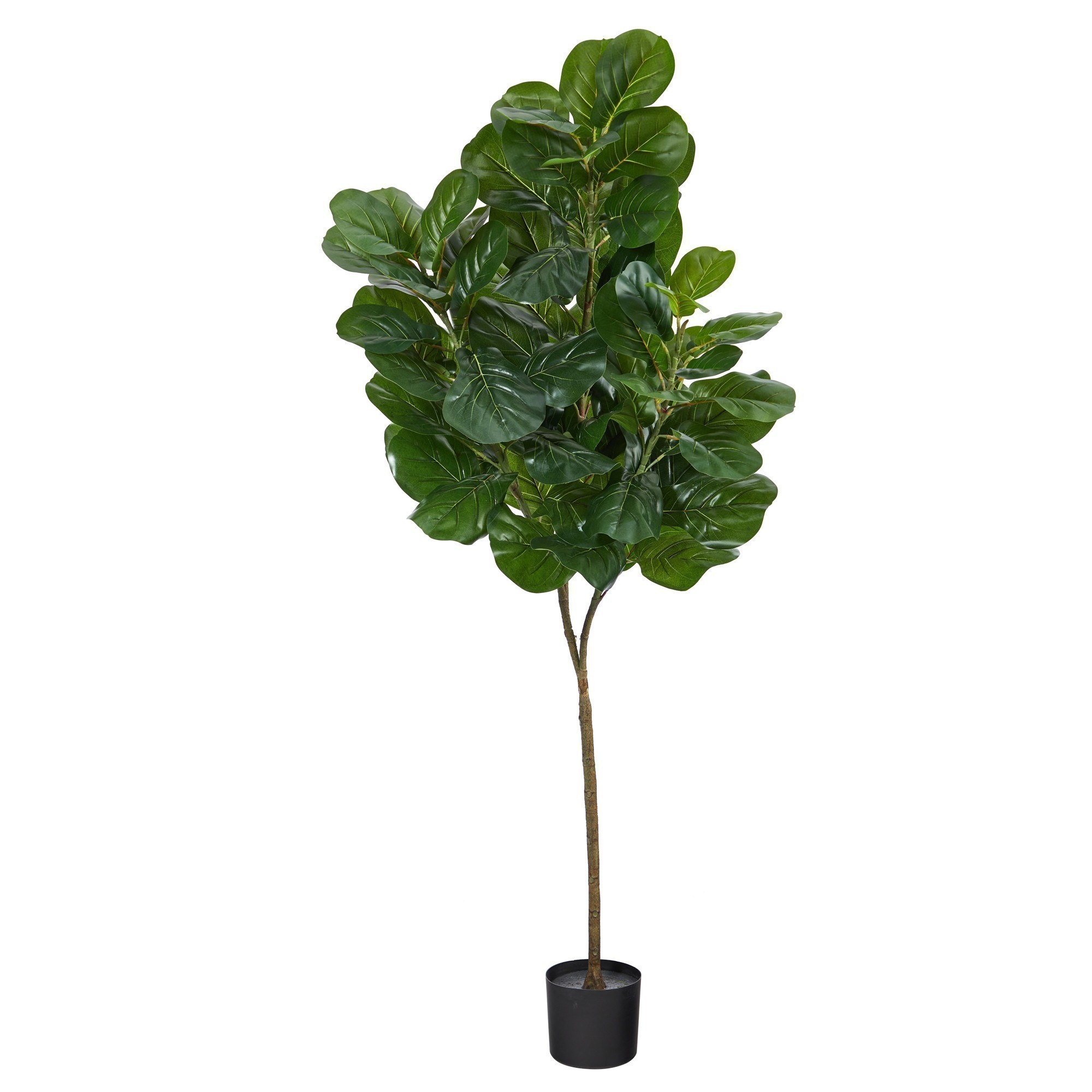 Earthflora > Mediterranean Olive & Fig Artificial Trees > 6' Fiddle ...