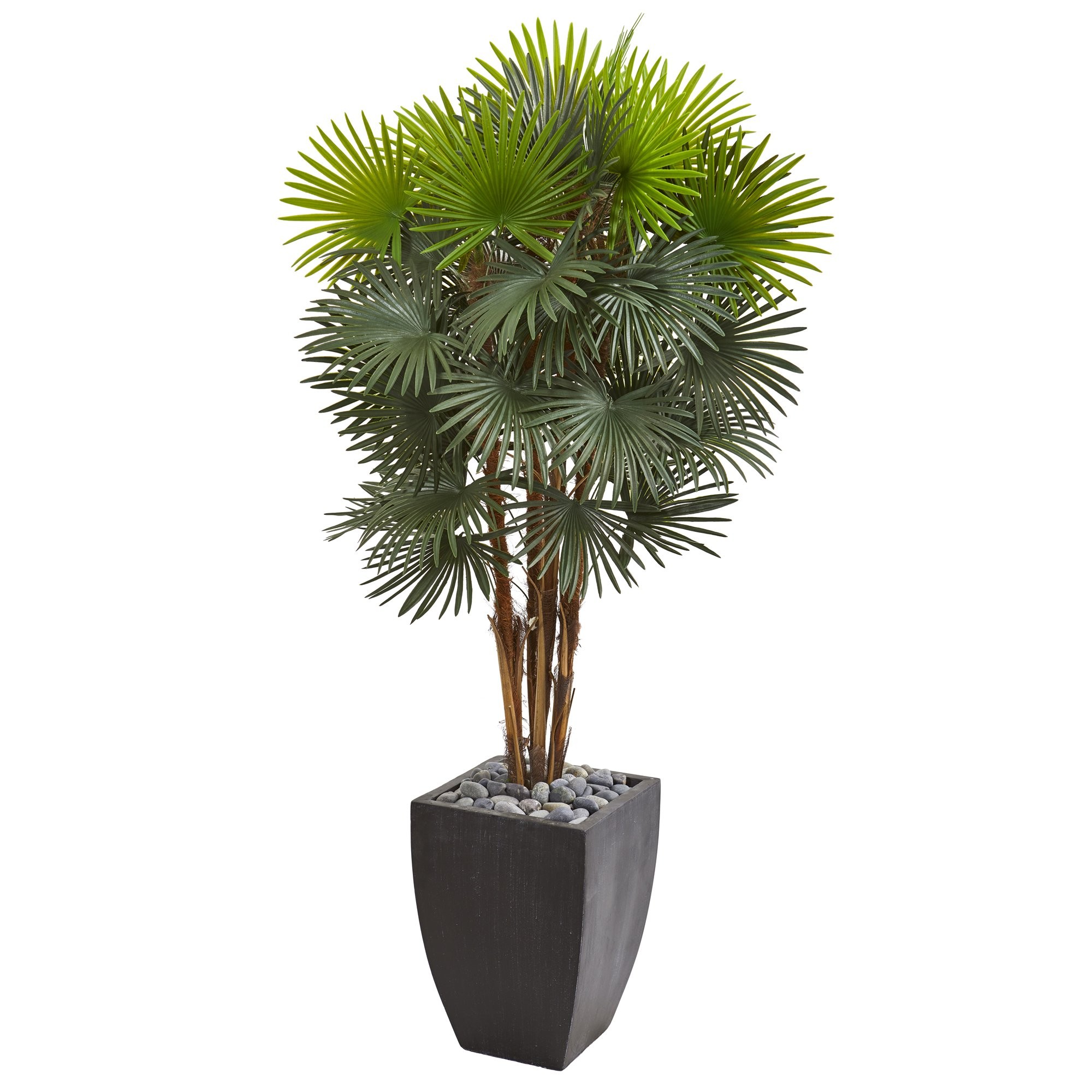 Artificial 59” Washingtonia Fan Palm Tree in Black Planter > Interior ...